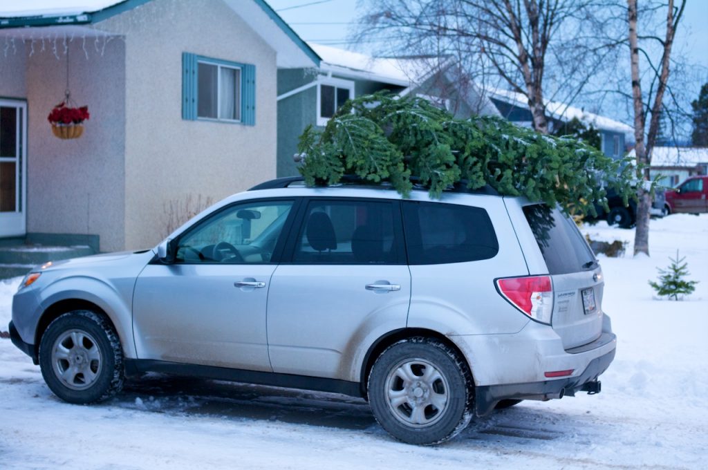 Subaru and tree – Kootenay EV Family